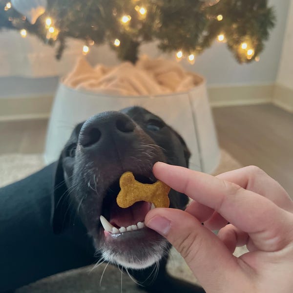 Mini Dog Signature Dog Treats 15 in a Bag Personalized Dog Treats ...