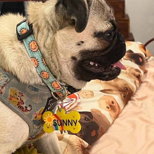 Design Your OWN Custom Pet Tag, Personalized, Custom Dog Tag, Resin Dog ...