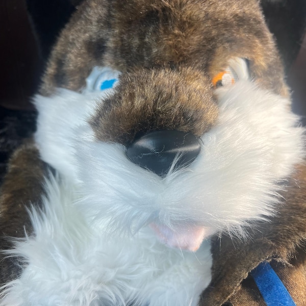 FREE to Use Art Runway Rodent Planner and Part Catalog .PNG Files for ...