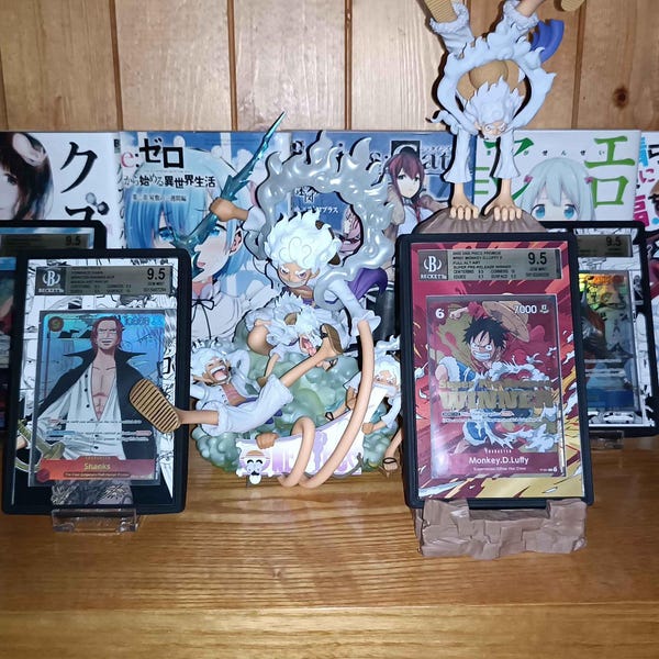 Silvers Rayleigh Manga Custom One Piece Display Case - Etsy