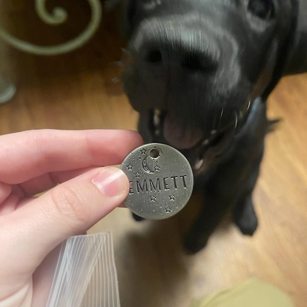 Space Themed Dog Tag, Dog Tags for Dogs, the Galactic Explorer ...