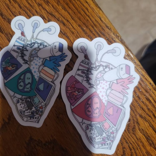 Normal Anatomical Heart Illustration | Digital Print Only | Typical ...