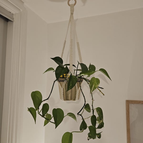 Macrame Ceiling Plant Hanger Indoor, Hanging Wall Planter, Macrame Wall ...