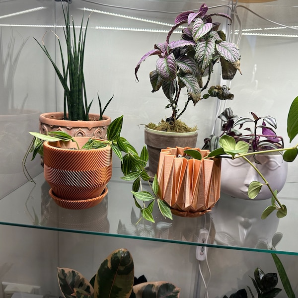 Set of 2 Planters - Drainage Holes and Trays - Modern Indoor Plant Pots ...