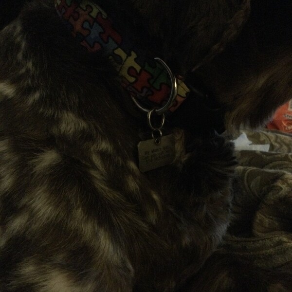 Autism Awareness Dog Collar - Etsy