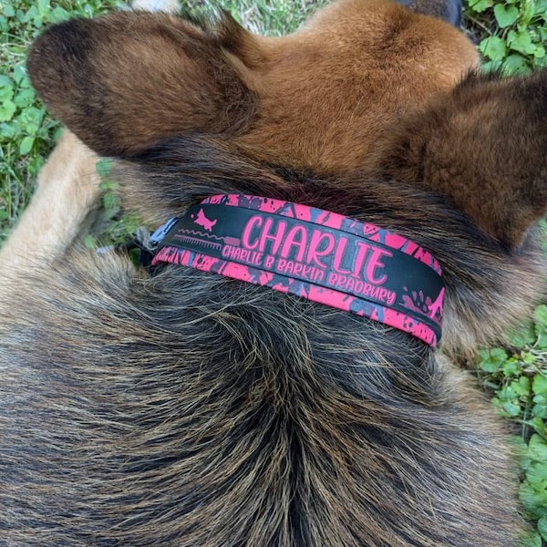 Custom Name Splatter Paint - Biothane Dog Collar - Two-tone 1.5 in ...