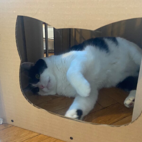 Tank Cardboard Cat House - Etsy