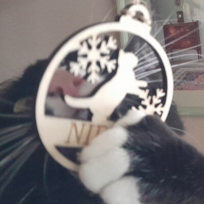 Bantersaurus Rex Mug Funny Mug Gift Gift for Him Gift for - Etsy