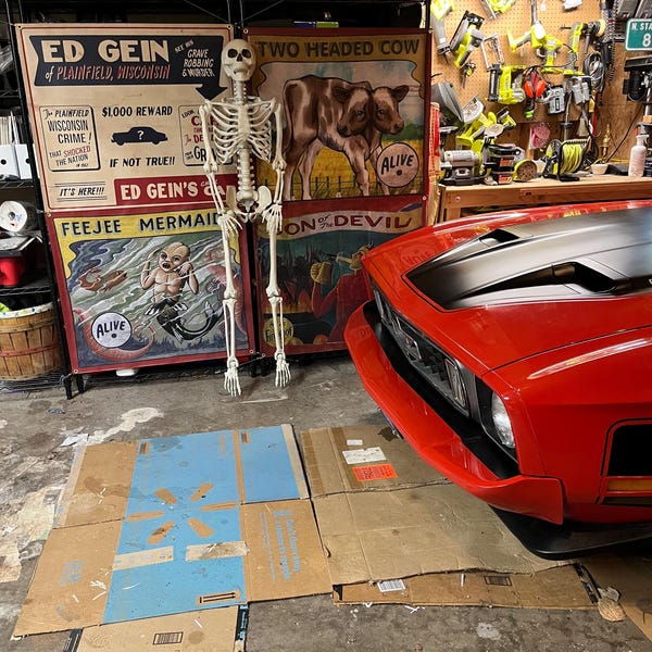 Sideshow Banner - Electra - Etsy