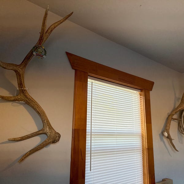 Metal Elk Shed Antler Wall Mount Display. Antler Not Included - Etsy
