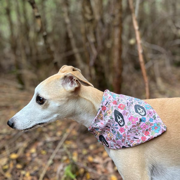 Scream Ghostface Inspired Halloween Pet Accessories - Etsy UK