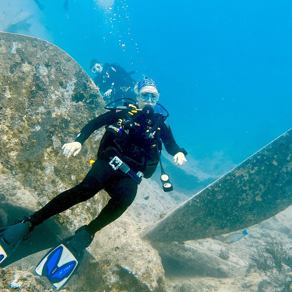 Diving Headband - Sharkie (rainbow) - Etsy