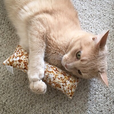Popcorn Kicker Cat Toy, Catnip Toy, Carnival Popcorn, Movie Theatre ...