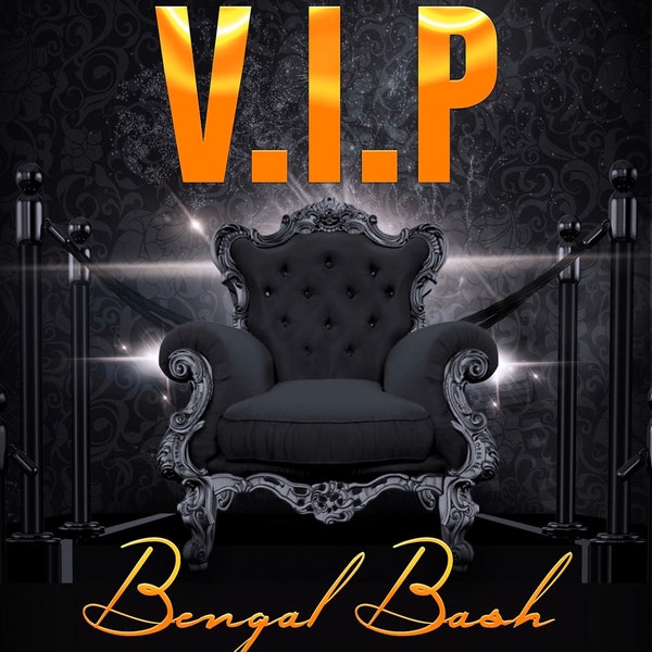 Silver Flyer, Silver Birthday Party Flyer, Black and Silver Party Flyer ...