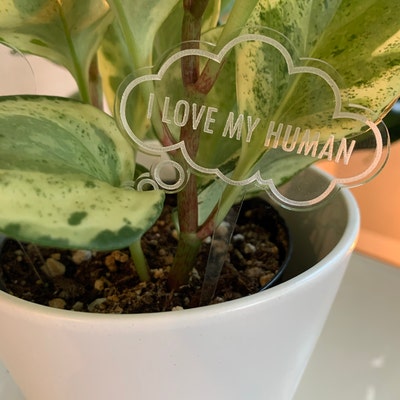 Set of 2 Plant Tags, Acrylic Plant Tags, Custom Plant Tags, Plant ...