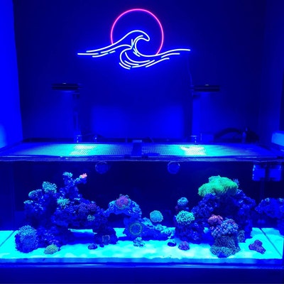 Money Bag Led Sign Money Bag Neon Sign Wall Decor Money Bag - Etsy