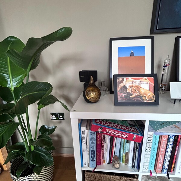 Dartmoor Tiger A2 Screenprint, Children's Illustration, Nature Art - Etsy