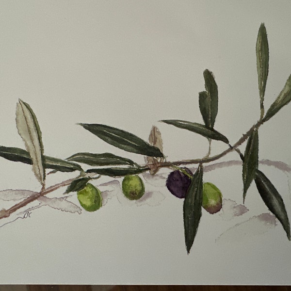 Original Painting, Cynara Cadunculus, Wild Artichoke, Hand Made Fine ...