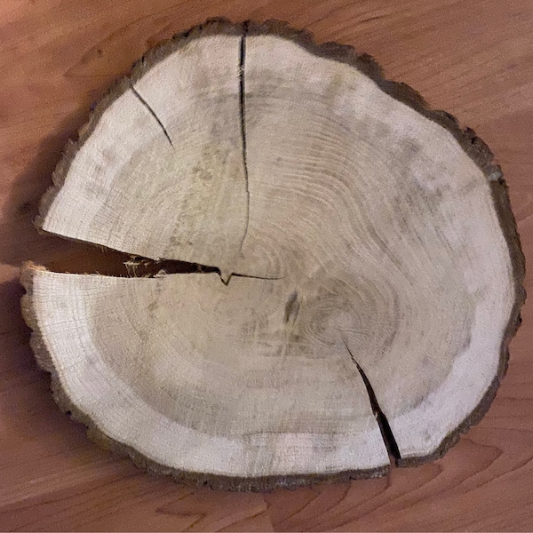 Natural Wood Slice Wood Slices Wood Wedding Centerpiece Rustic Wood ...