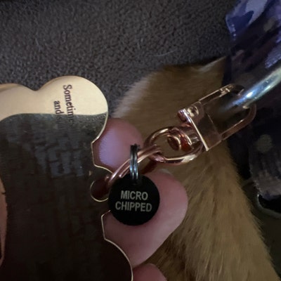 Tiny Microchip Dog Tag, Microchipped Add On, Dog Collar, Pet Tag, Pet ...