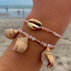 5/10/20pcs Natural Sea Shells Cowrie Shell Gold Plated Shell | Etsy