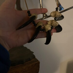 8 to 9 River Cooter Turtle Shell 1077-0809 10UBS - Etsy