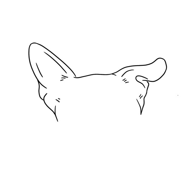 18 Cat Ear Line Drawing Clip Art and Stamps for Procreate - Etsy