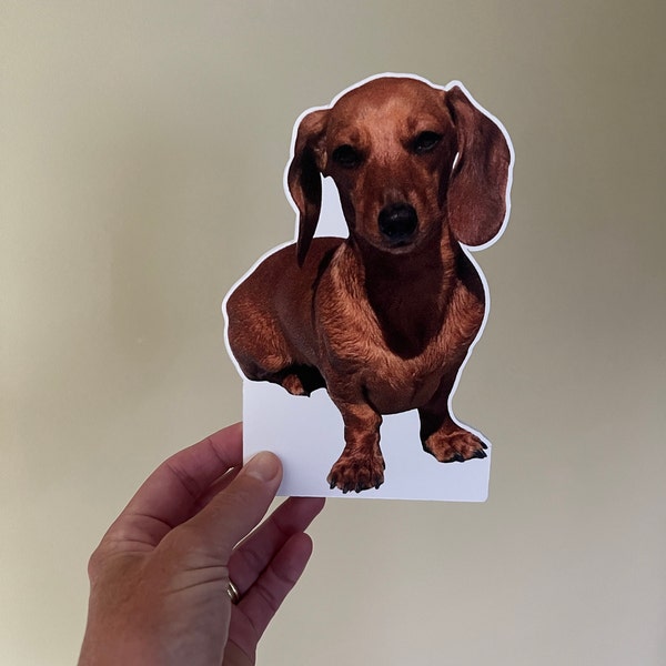 Custom Life Size Coroplast Cutouts of Any Photograph, Personalized Full ...