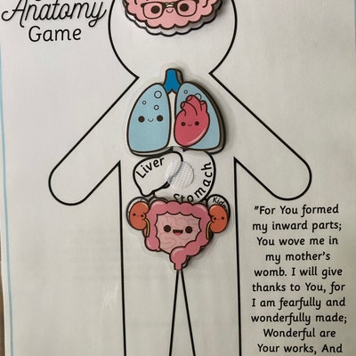 Anatomy Game, Printable Human Body Preschool Activity, About Me Kids ...