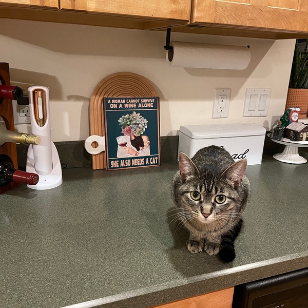 Hendricks Gin Pub Alcohol Bar Metal Sign Metal Plaque Wall Art Decor ...