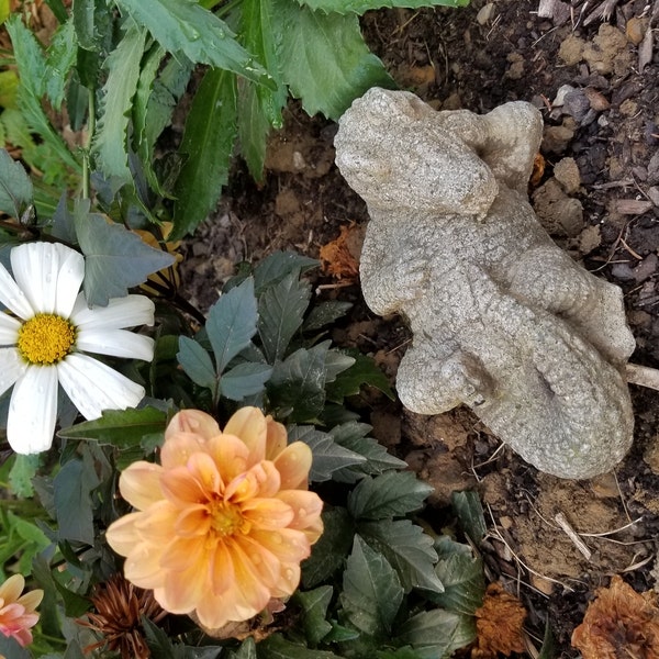 Studio Nova DESERT PALM Underplate for Butter Dish Cover Gravy Boat ...