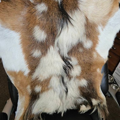 Mini Cowhide Rugs Cut Outs - Etsy