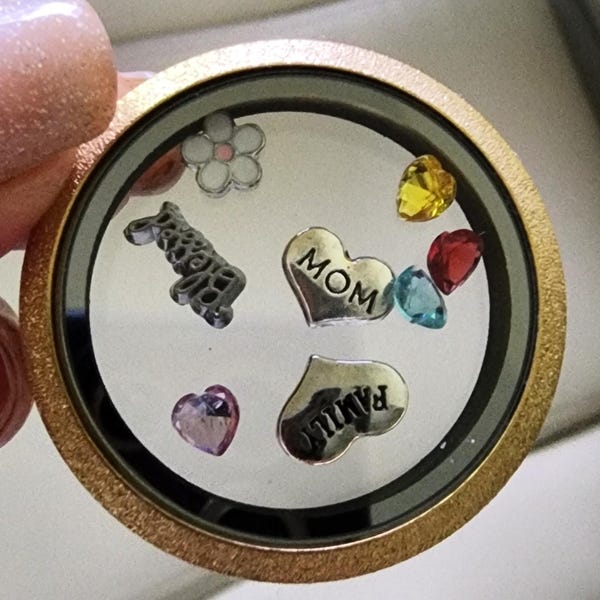 1 Charm for a Floating Locket - Etsy