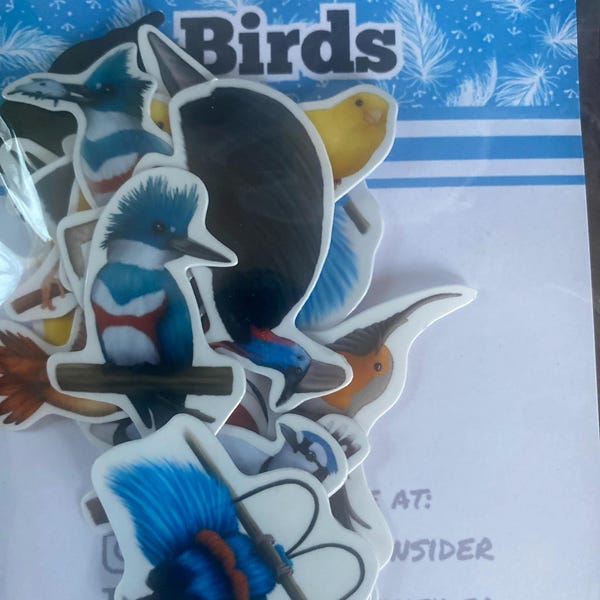 Giant Panda Sticker Pack Bear Decals Endangered Species Vinyl Stickers ...