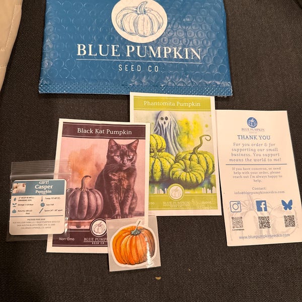 Yugoslavian Fingers (heirloom/c.pepo) Seeds: Semi-rare, White Finger ...