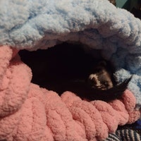 Build Your Own Rag Rug Twining Loom Downloadable Plans - Etsy Canada