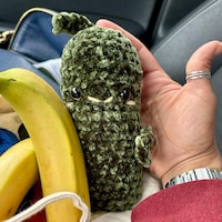 Emotional Support Pickle & Positive Poo Pattern Bundle,us Terms ...