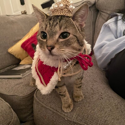 Royal Prince Nobility Clothes for Cats, Prince Crown for Cats, Handmade ...