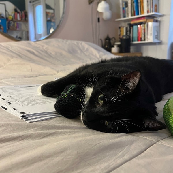 Blue Tiny Cat Plush, Teal Cat Plushie, Cat Stuff for Women, Stuffed ...