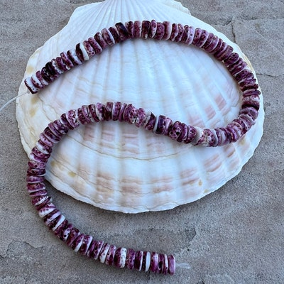 AAA Queen Conch, Natural Pink Queen Conch Shell Smooth Round Ball ...