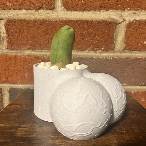 Cock Pot, Male Body Planter, 3D Printed Planter, Planters With Drainage ...