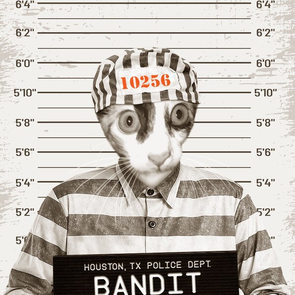 Mugshot Pet Portraits Using Pet Photo, Dog Lover, Digital Download ...