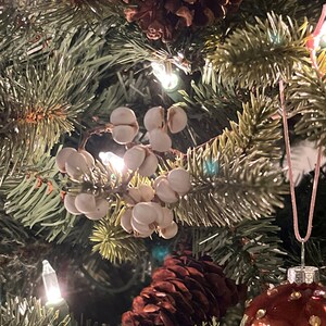 Dried Long Stem Tallow Berry Bundle Tallowberries Natural Decor Antique ...