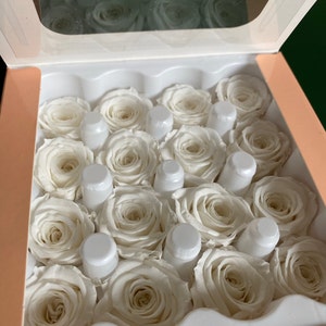 Petite Preserved Roses Wholesale Preserved Roses Wholesale Eternity ...