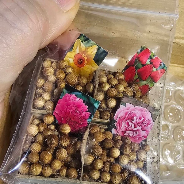 12 Miniature Cosmos Flowers Kit Flower 1:12 Scale Dolls House Garden ...