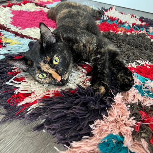 HANDMADE STRIPED RUG, Personalized Moroccan Design, Brown & White ...