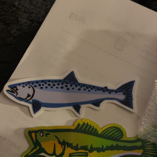 Crappie Sticker High-quality, Durable Freshwater Fish Fishing Decal for ...