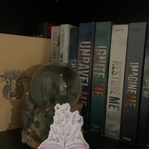 Atlas Corrigan It Ends With Us Sticker Lily Bloom Colleen - Etsy