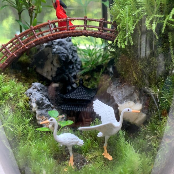 Mini Palm Trees: Tropical Terrarium & Fairy Garden Decor (3 Piece Set ...