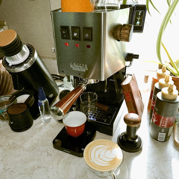 Gaggia Classic PRO/EVO/E24 PID - Timer oder CremaTune Stecker und Brau ...